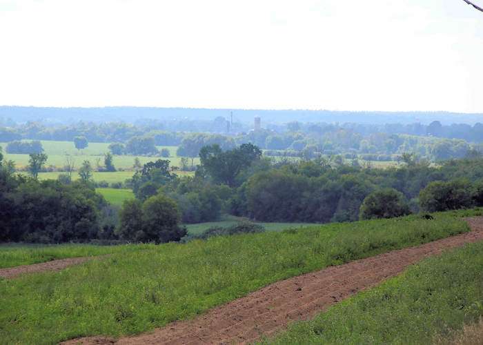 Neighbourhoods You Should Know About in 2020 - Joan Smith