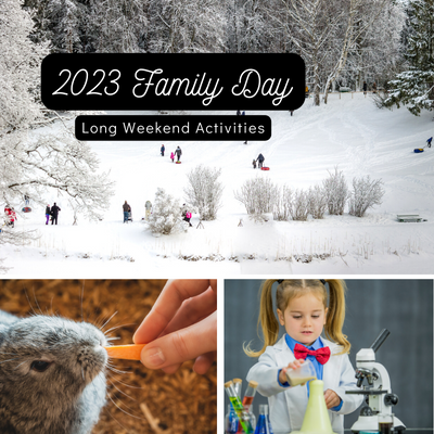 2023 Family Day Long Weekend Activities in Ottawa